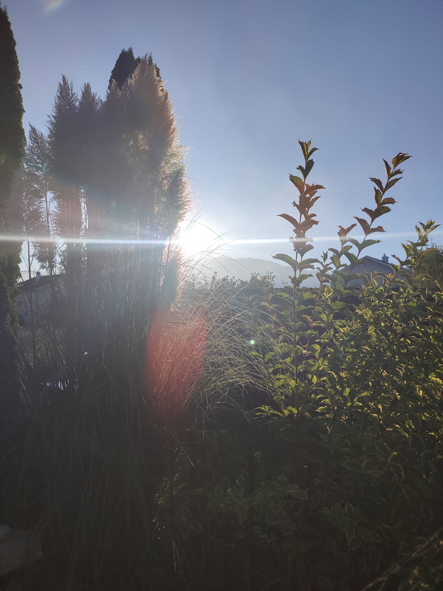 7. September 2024 🌞🌻🌼 – Website-Titel